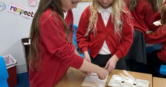 Marown Primary School